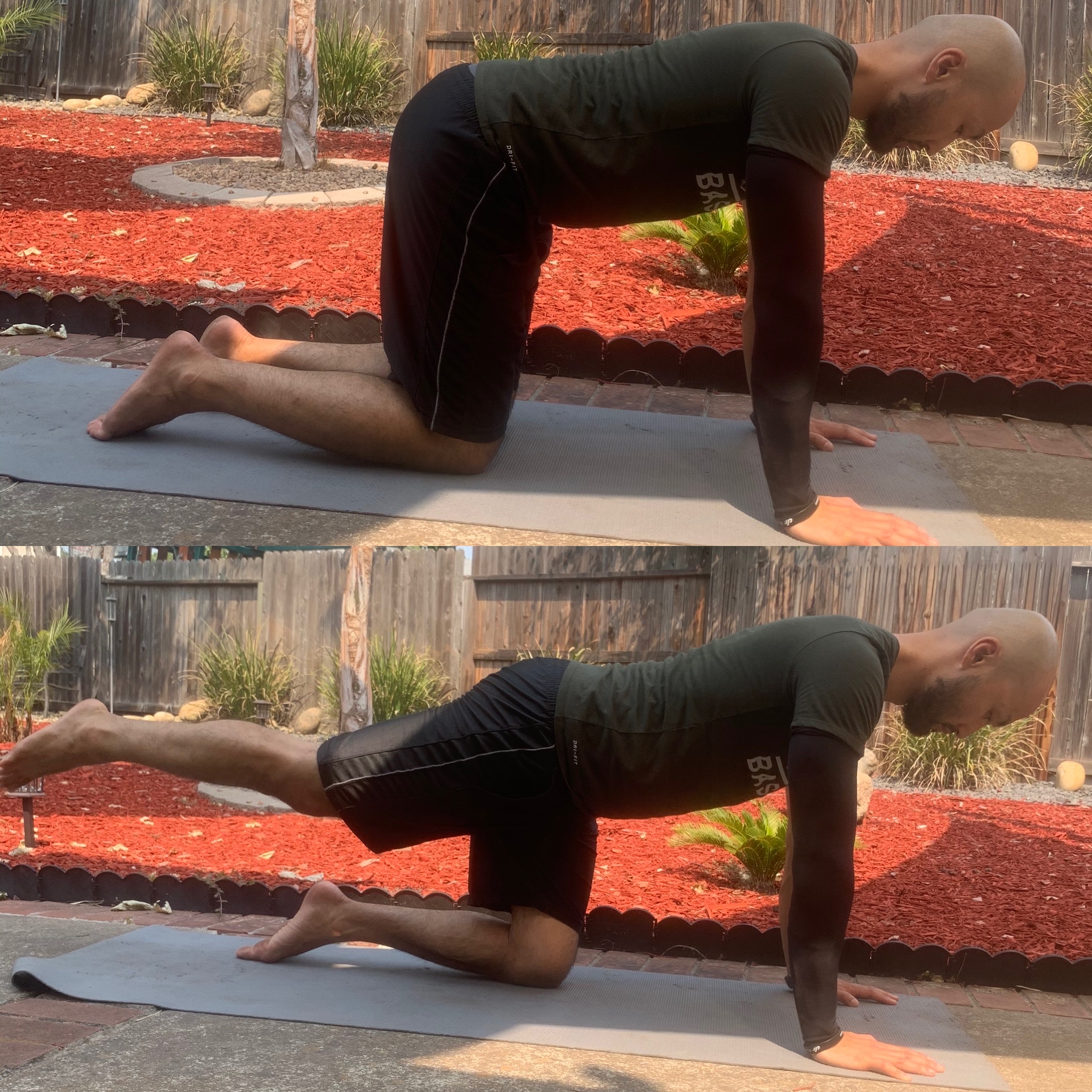 Back Exercises – Live Well Be Well